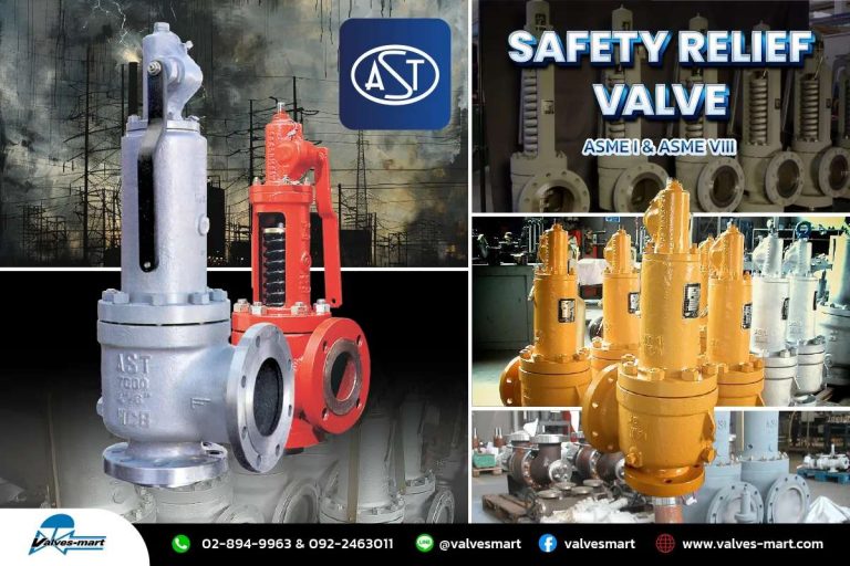 Safety Relief Valve AST - Valves-Mart.com